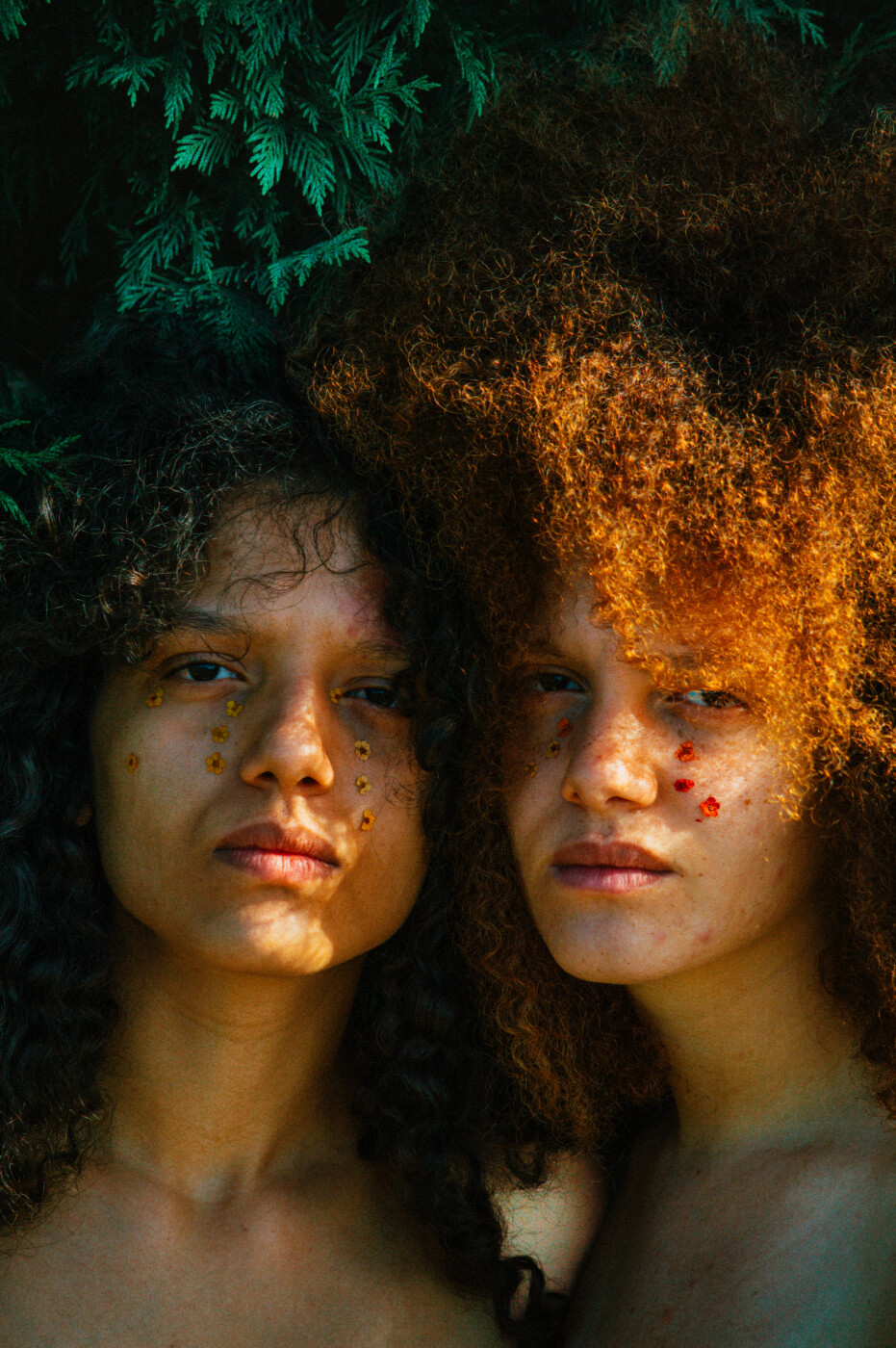 [Les Estivales] - Malaka | Echo System (70) | Salle de concerts ...